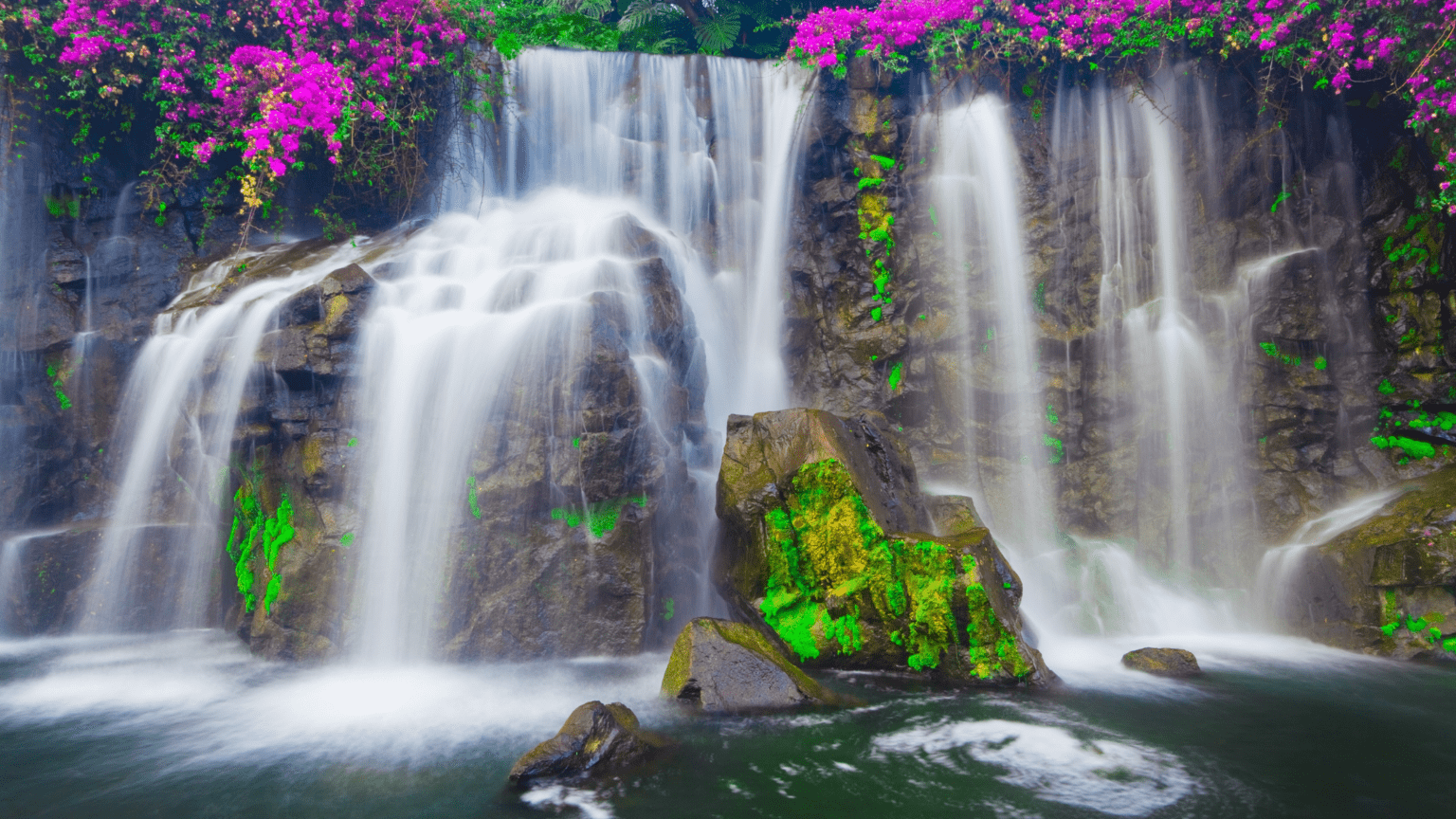 7 Awesome High School Science Trips Your Students Will Love ...