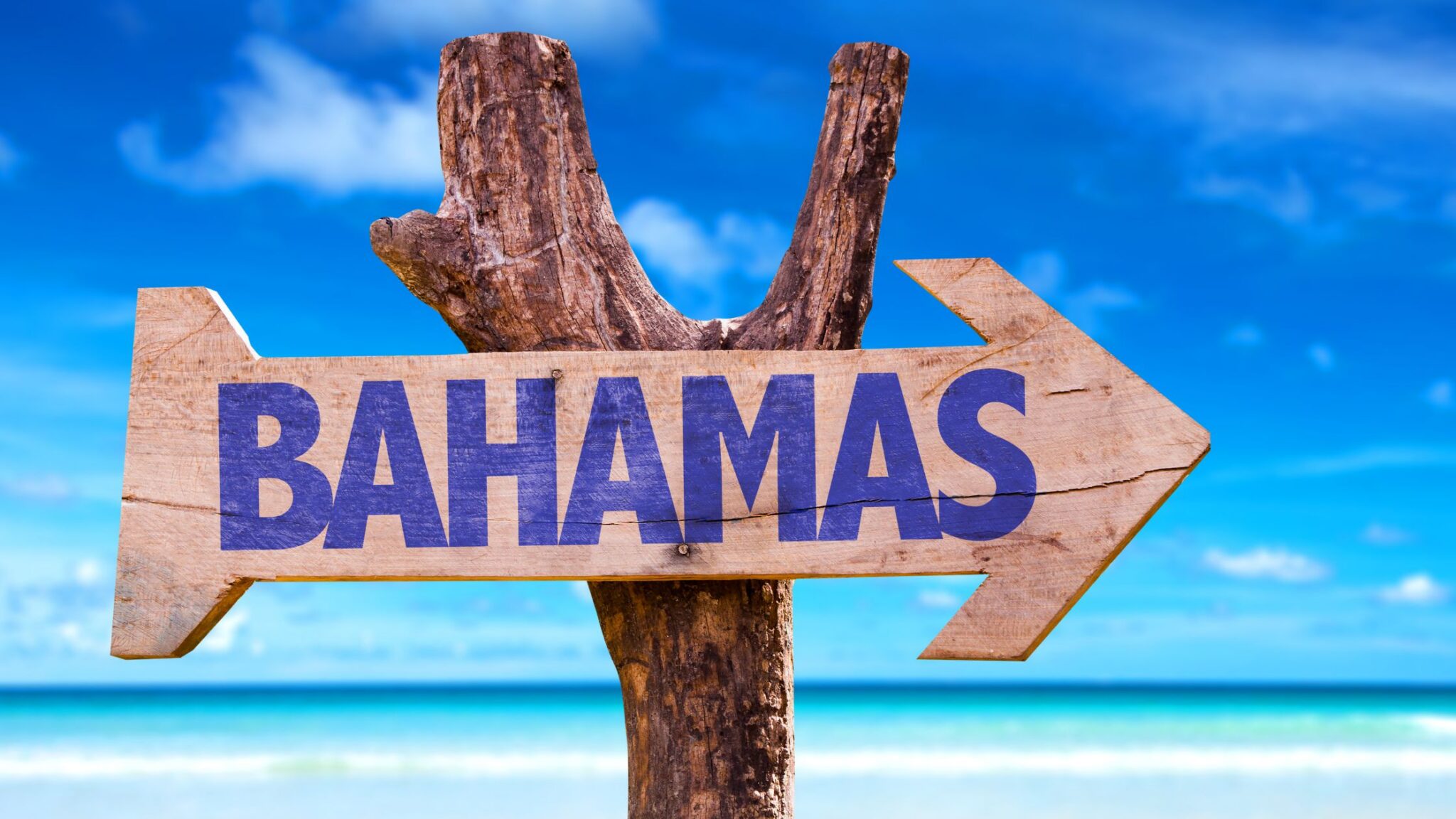 6 Sensational STEM Spots in the Bahamas for the Ultimate High School ...